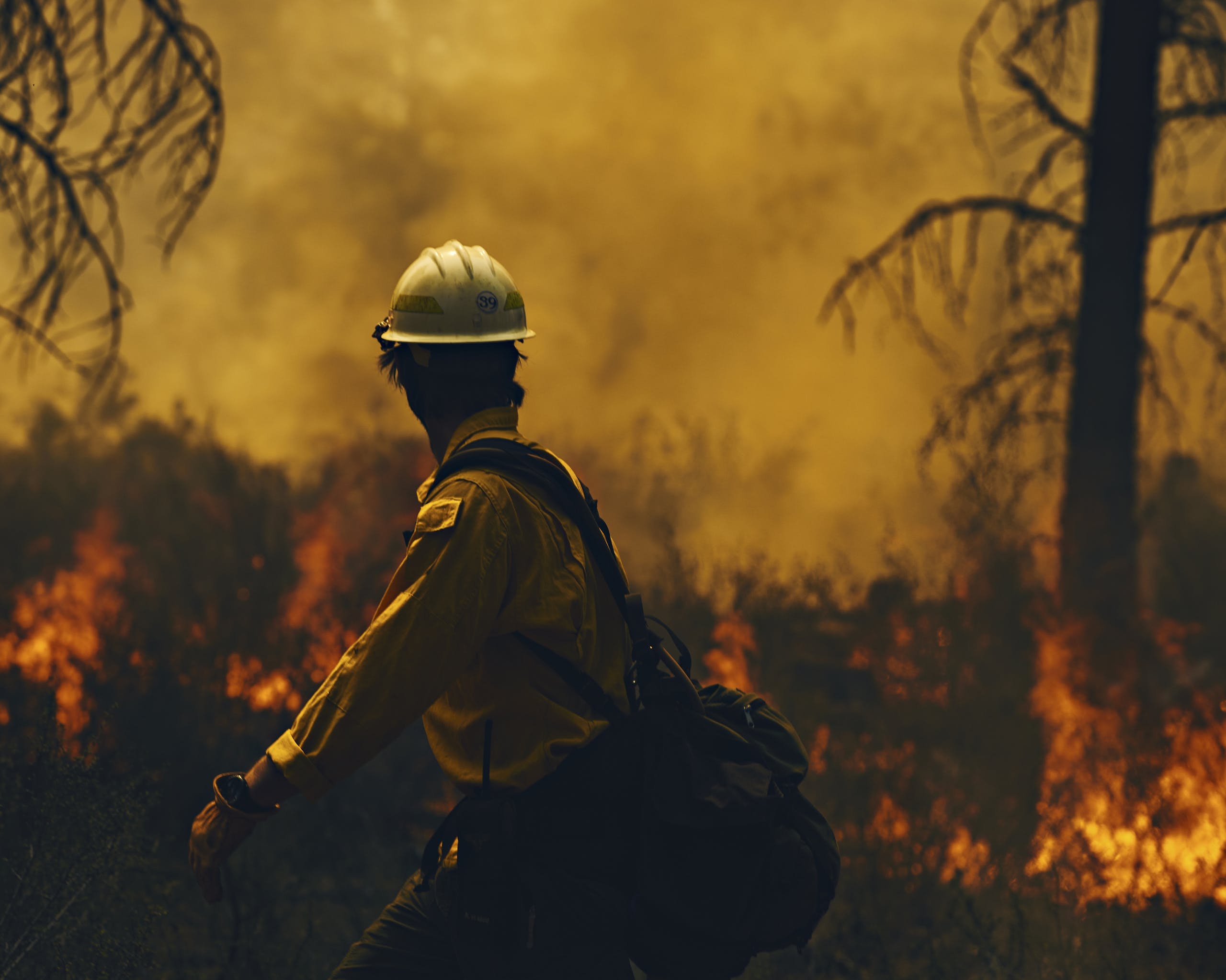 USFS: Fighting Fire With Fire – Filson