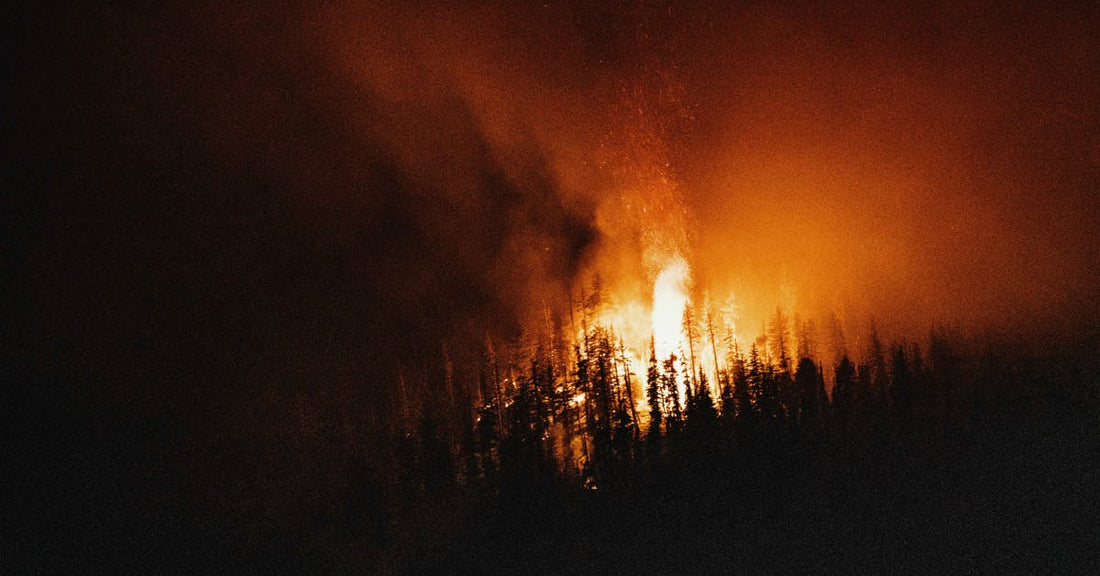 We Helped Restore a Forest Service Lookout Tower That Was Almost Consu ...