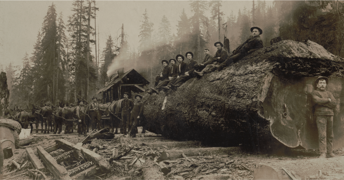 Logger History Crossword Puzzle – Filson
