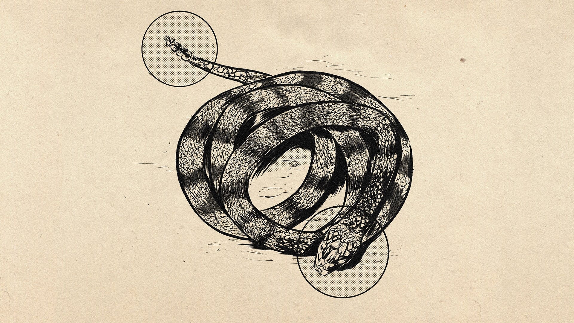 Snakebite Prevention and First Aid – Filson